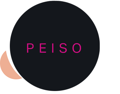 Integrations - Peiso | Triniteq